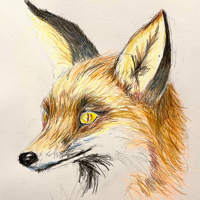 how to draw detailed fox