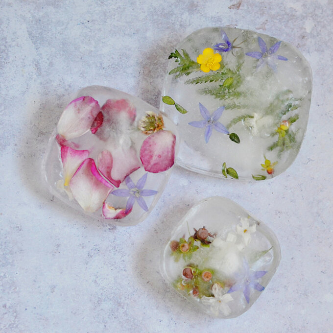 How to Make Botanical Ice Blocks | Hobbycraft