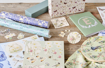 Papercraft Supplies | Hobbycraft