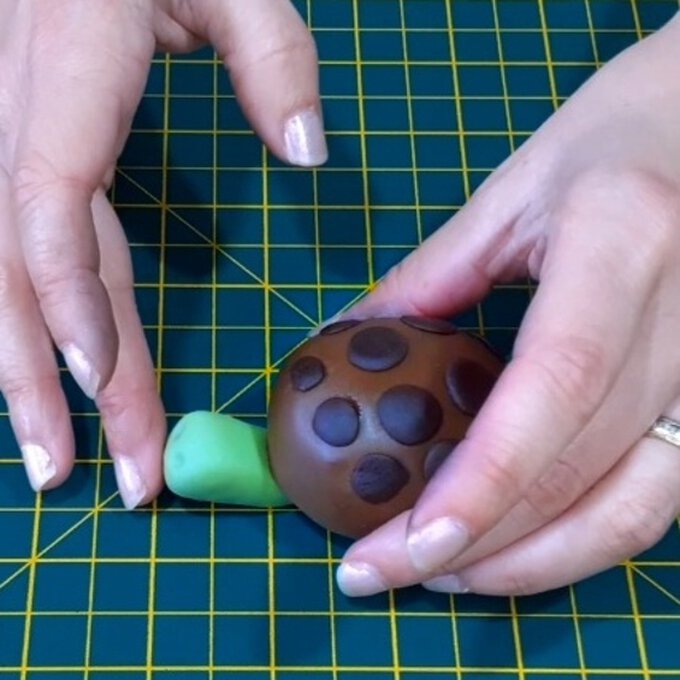 How to Make a Fondant Turtle Model | Hobbycraft