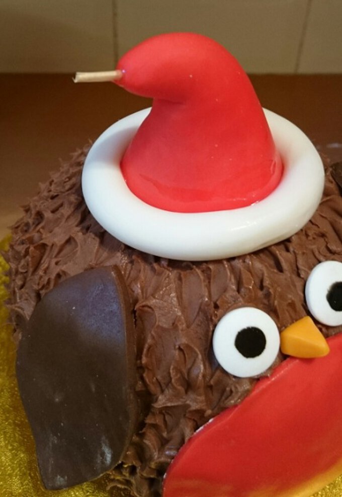 How to Make a Robin Cake | Hobbycraft