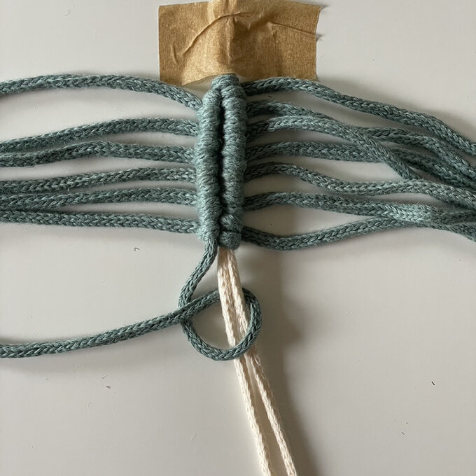 How to Make a Macrame Bee Plant Hanger | Hobbycraft