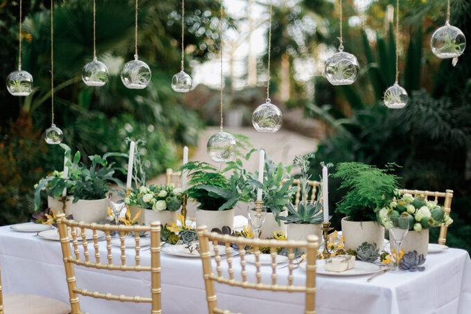 How to Style Your Botanical Wedding | Hobbycraft