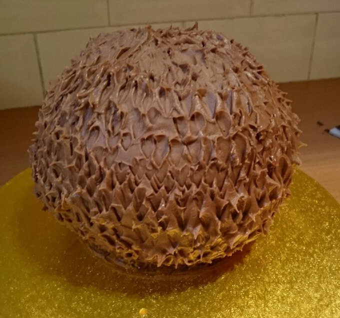 How to Make a Robin Cake | Hobbycraft