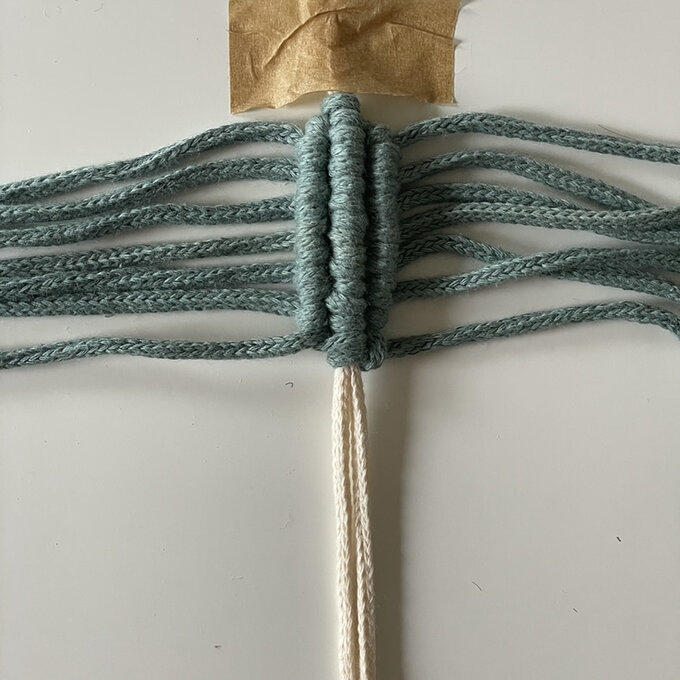 How to Make a Macrame Bee Plant Hanger | Hobbycraft