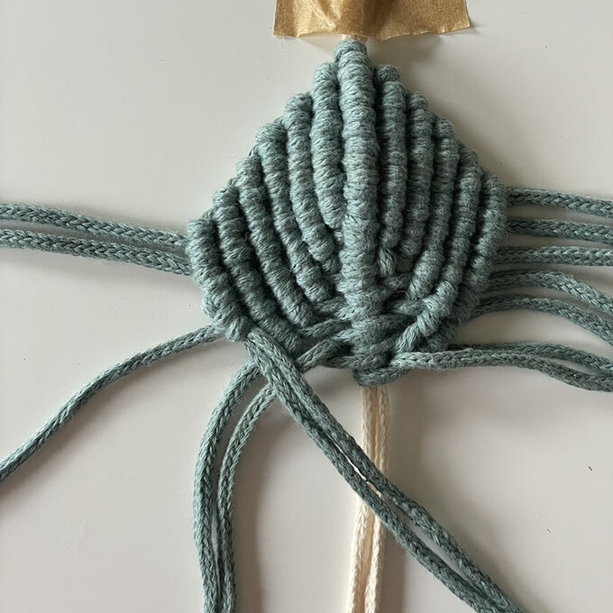 How to Make a Macrame Bee Plant Hanger | Hobbycraft