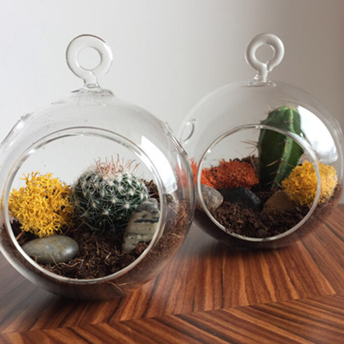 How to Make a Terrarium | Hobbycraft