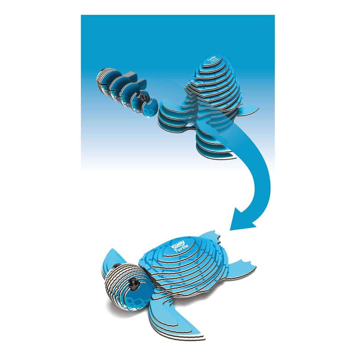 Eugy 3D Turtle Model | Hobbycraft