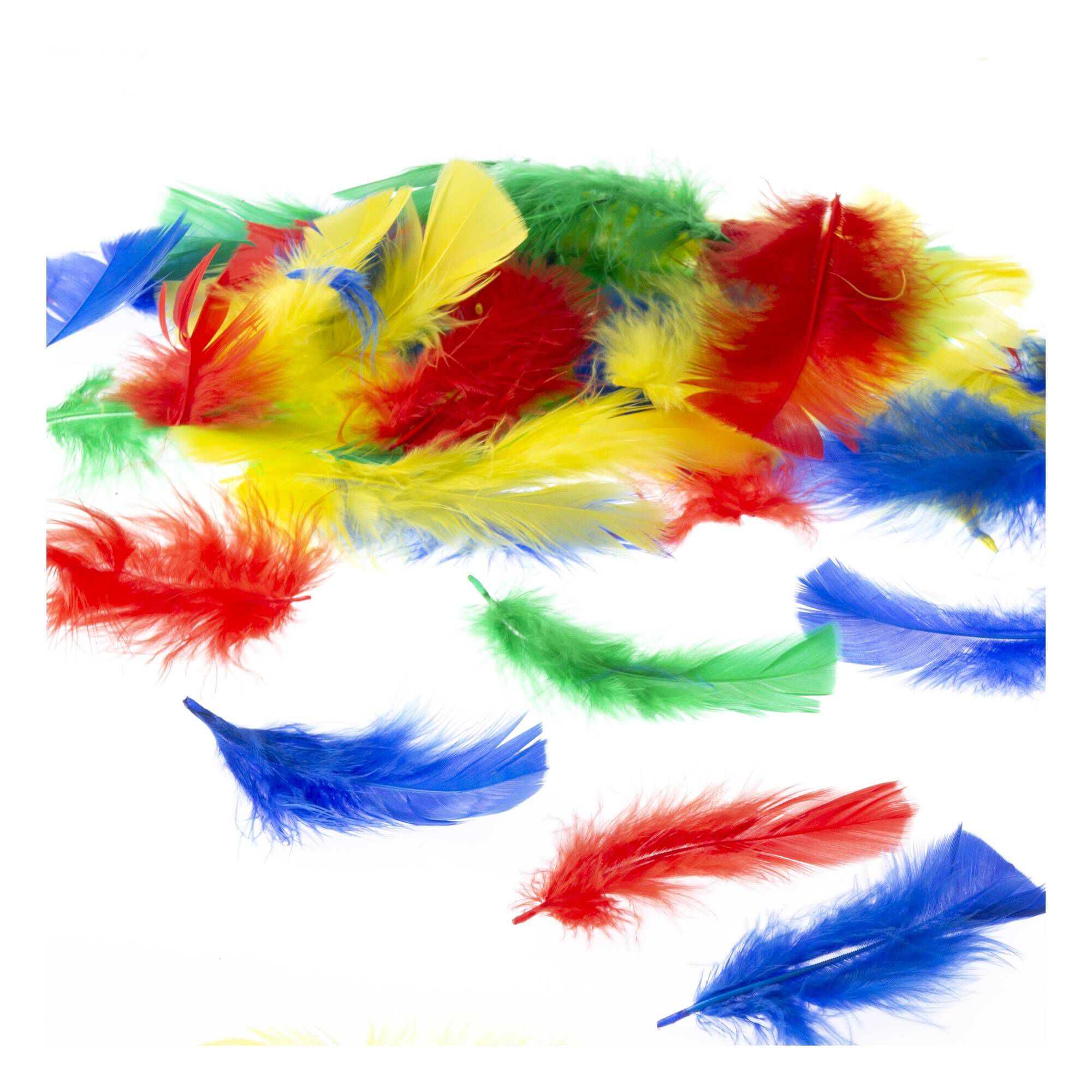 Fantasy Feathers 5g | Hobbycraft