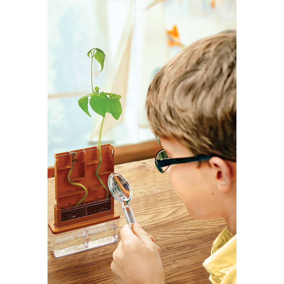 Green Science Grow-a-Maze | Hobbycraft