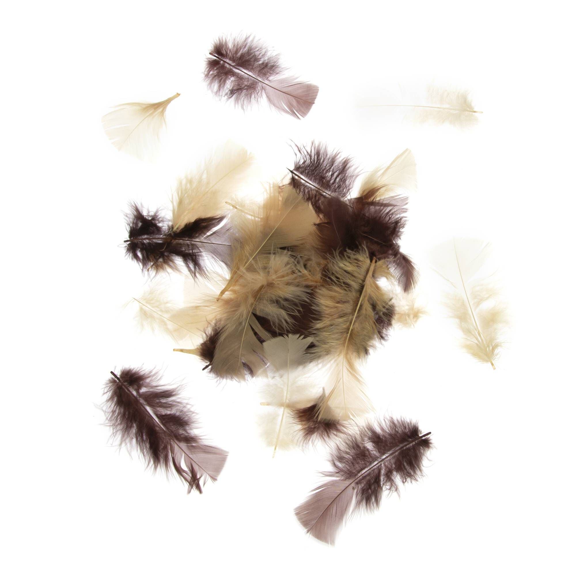 Natural Craft Feathers 5g | Hobbycraft