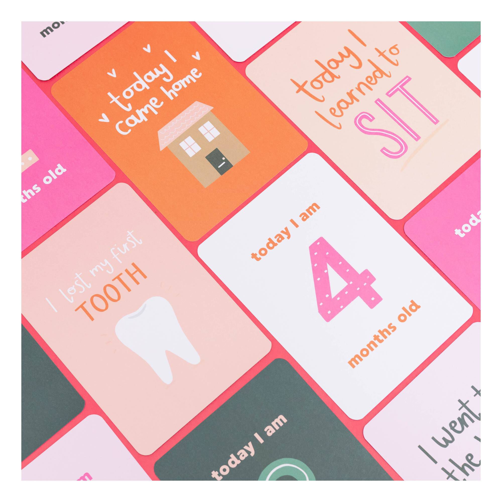 Violet Studio Best in Show Puppy Milestone Cards | Hobbycraft