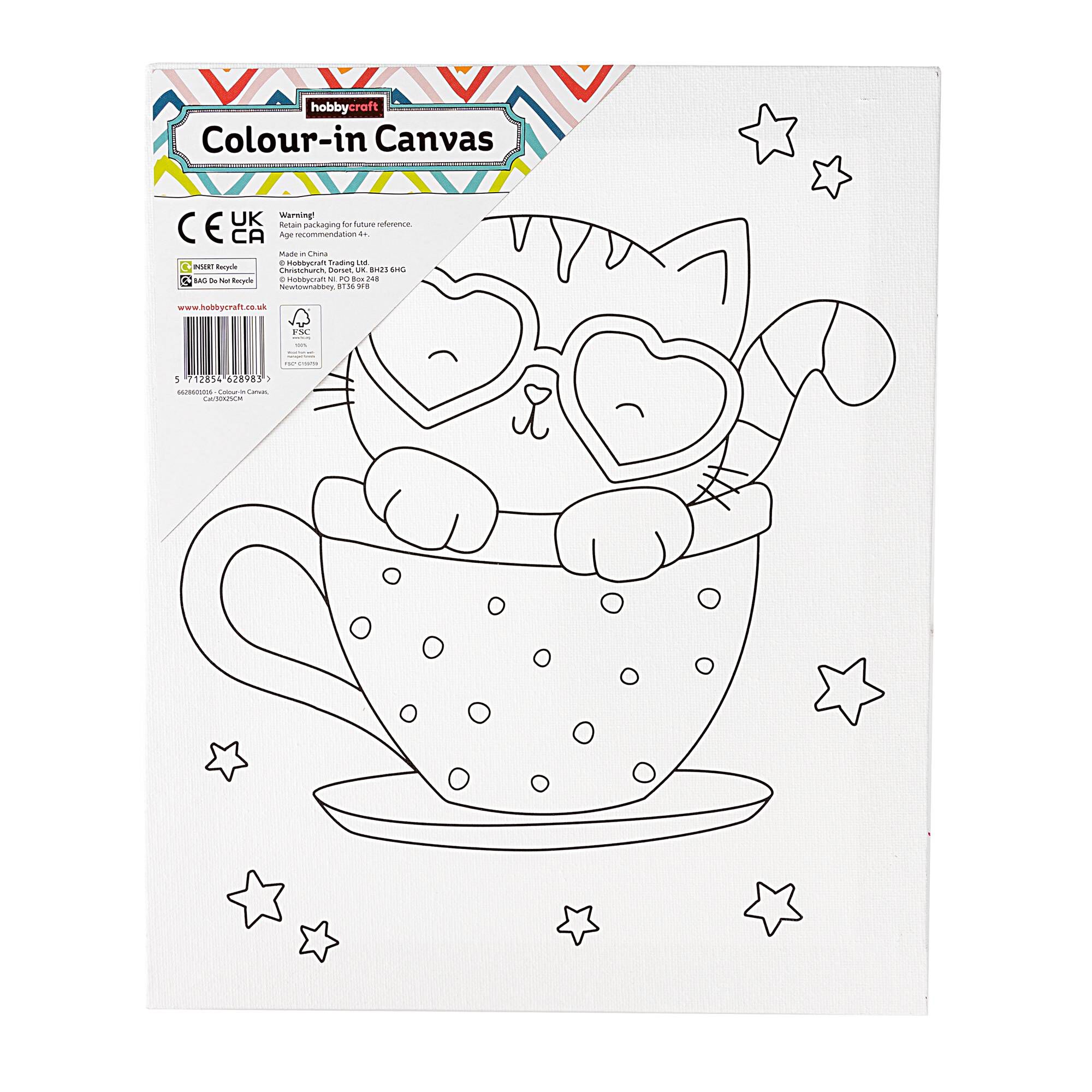 Cat Colour-in Canvas | Hobbycraft