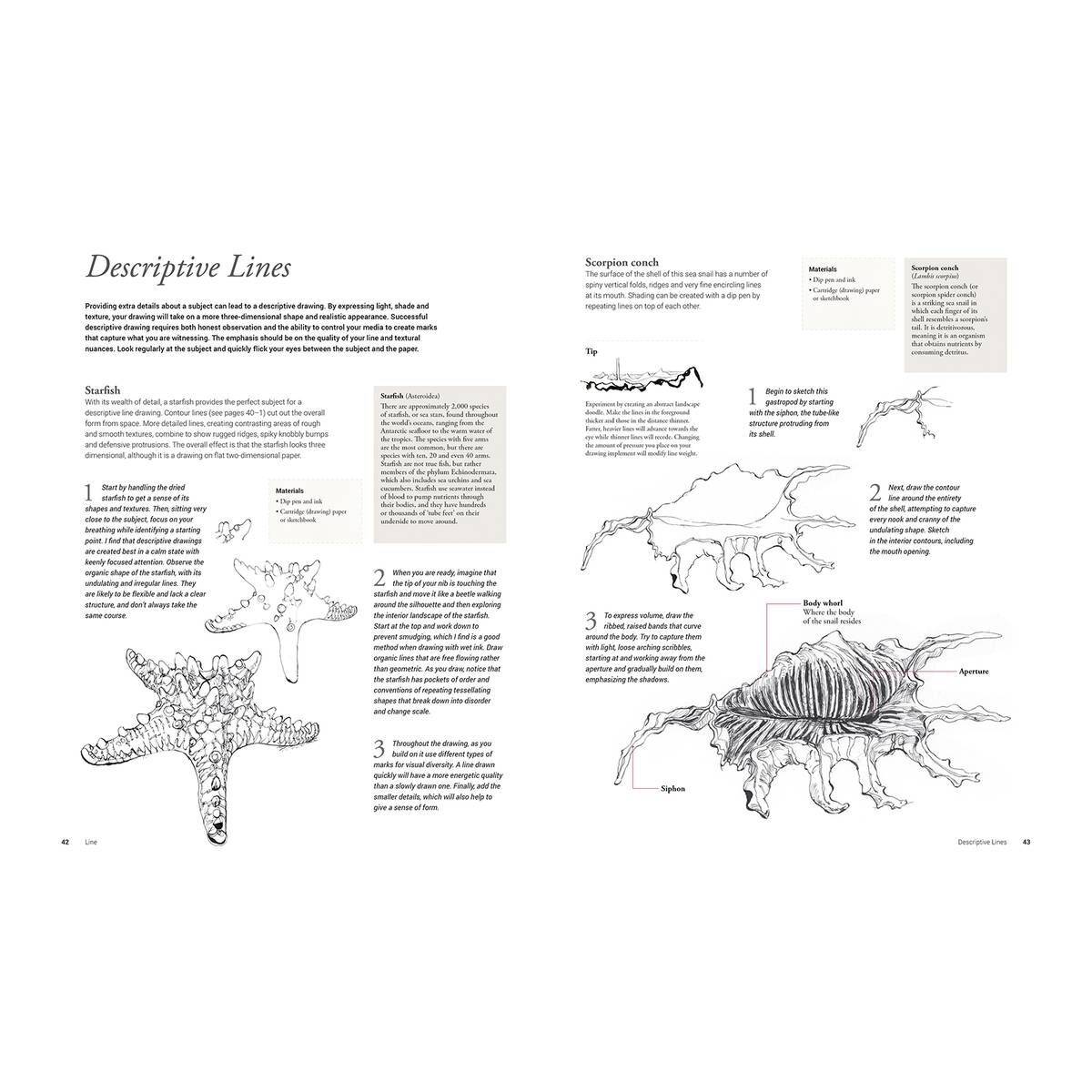 Drawing the Natural World | Hobbycraft
