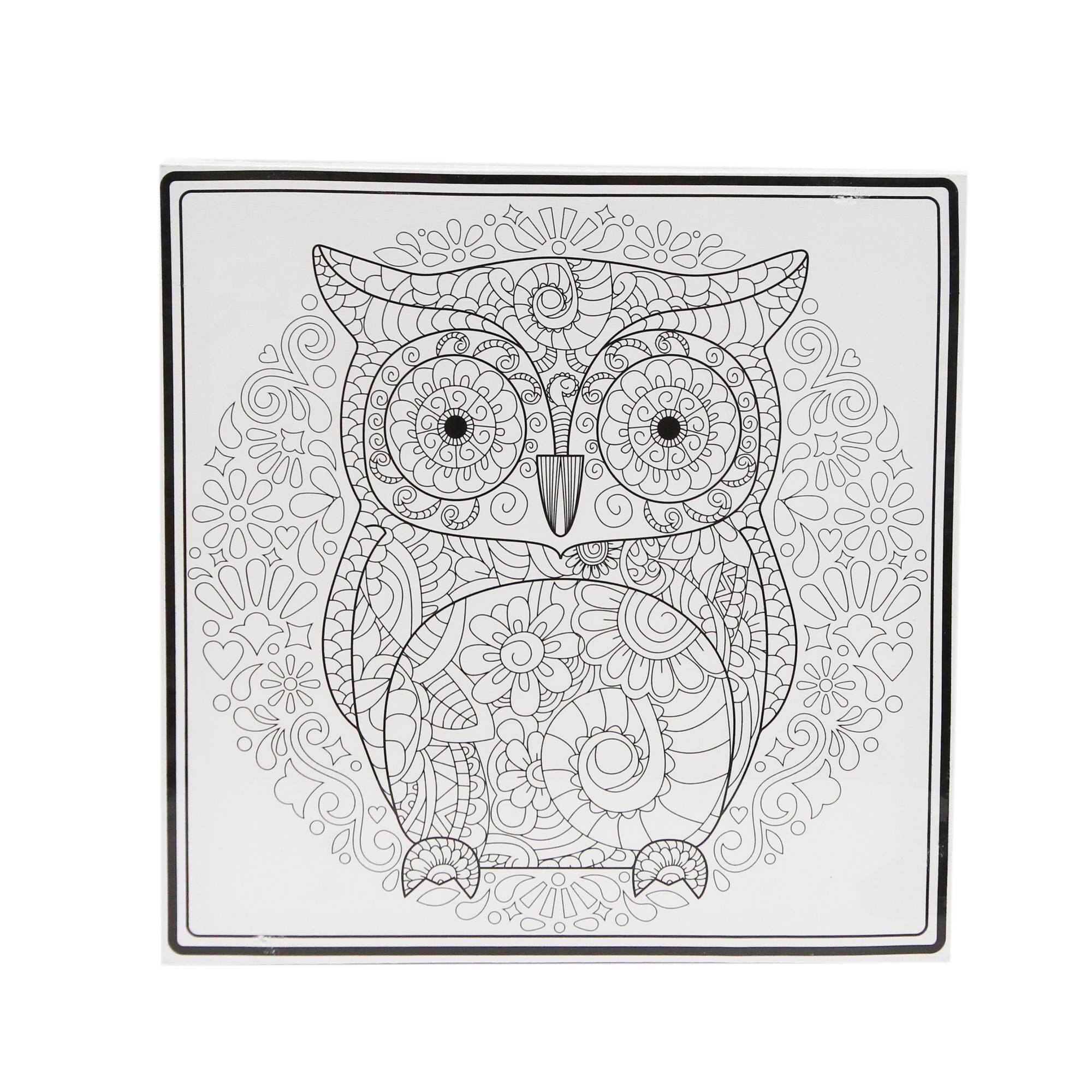 Owl Colour-In Canvas | Hobbycraft