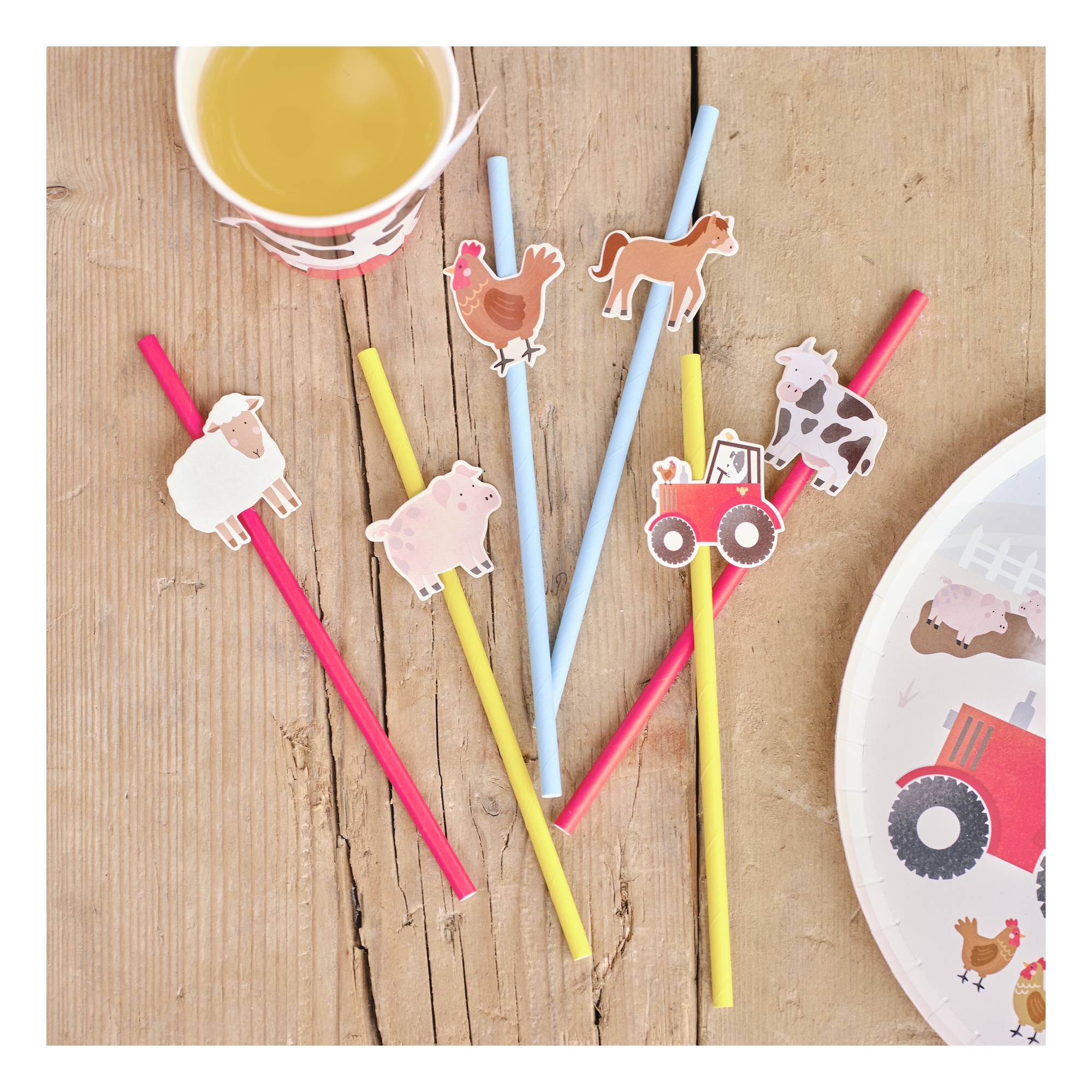 Ginger Ray Farm Animal Paper Straws 16 Pack | Hobbycraft