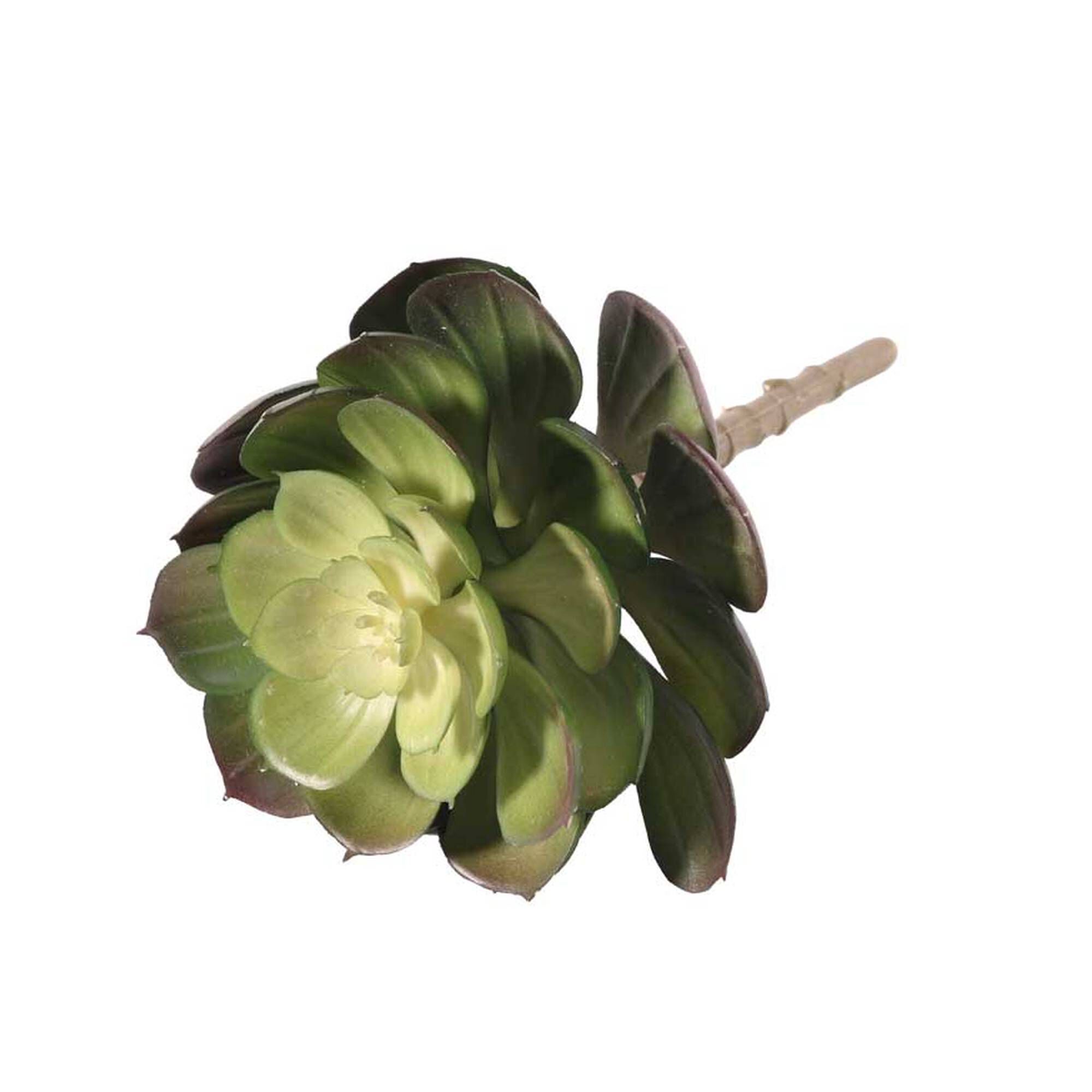 Succulent Pick 15cm | Hobbycraft