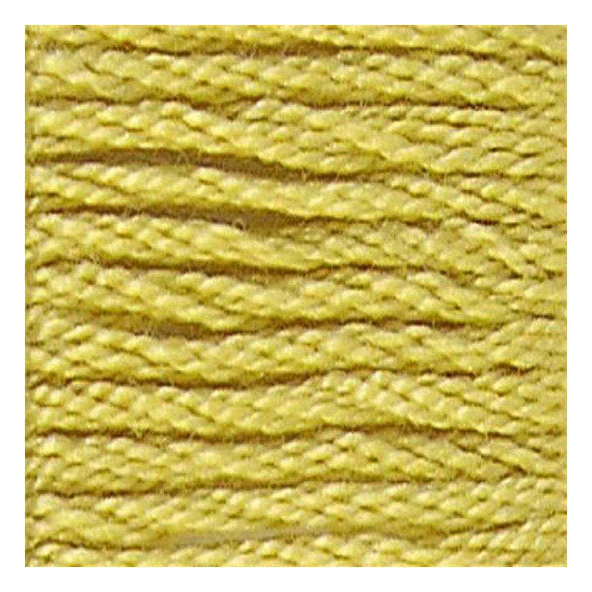 DMC Yellow Mouline Special 25 Cotton Thread 8m (018) | Hobbycraft