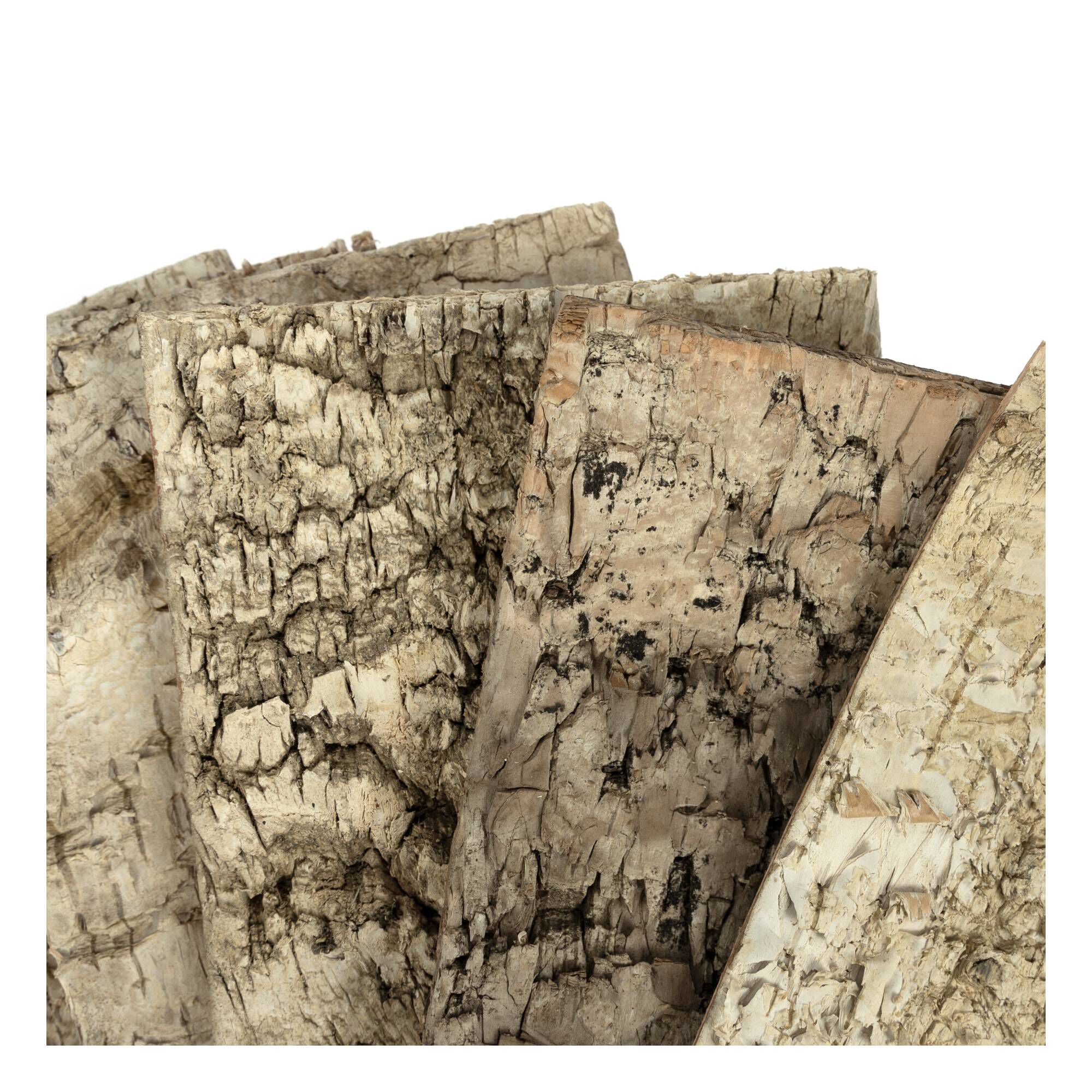 Birch Bark Bundle 10 Pack | Hobbycraft