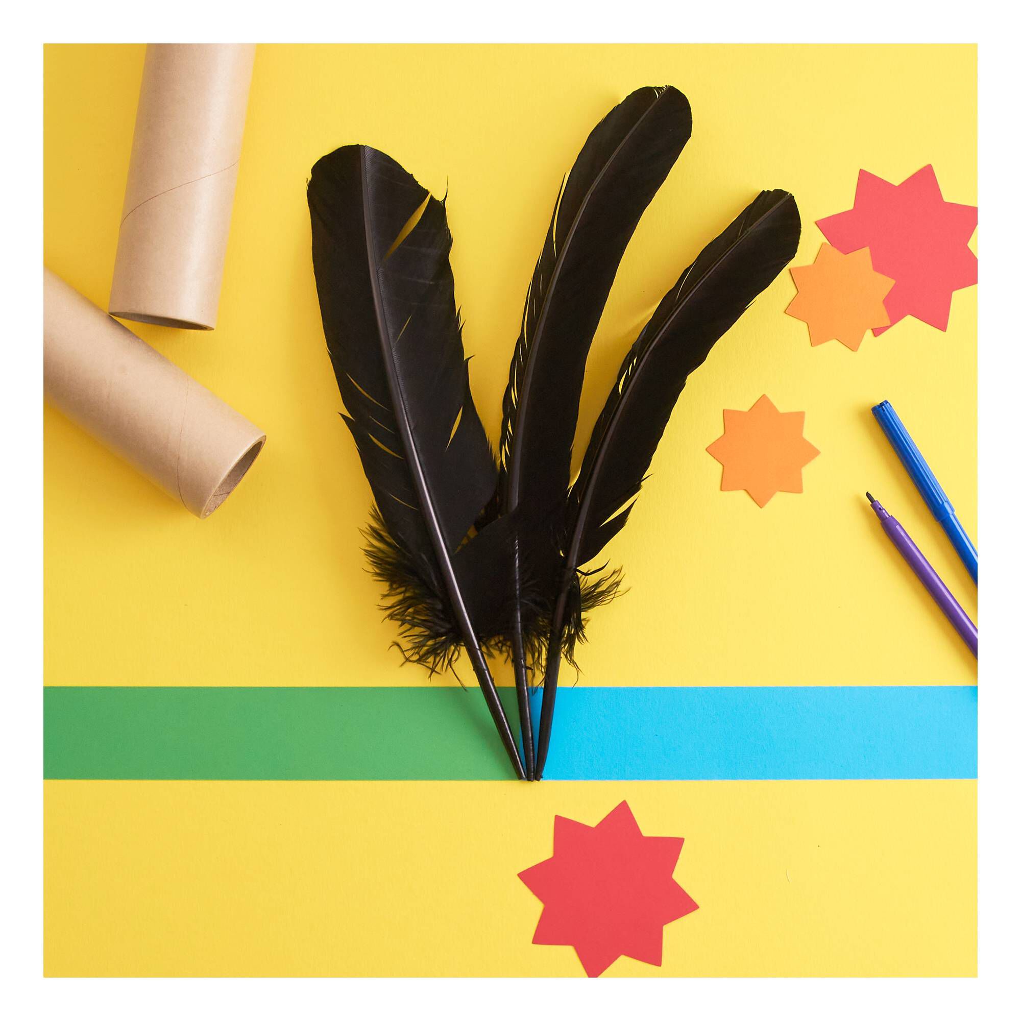Black Feathers 7 Pack | Hobbycraft