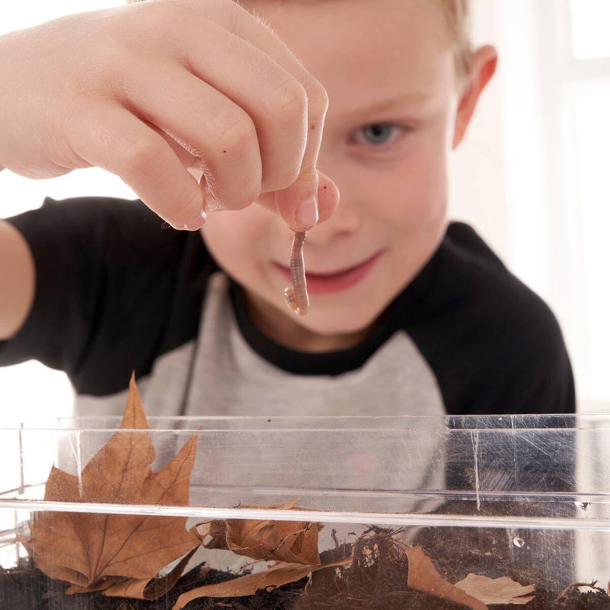 My Living World Worm World Kit | Hobbycraft
