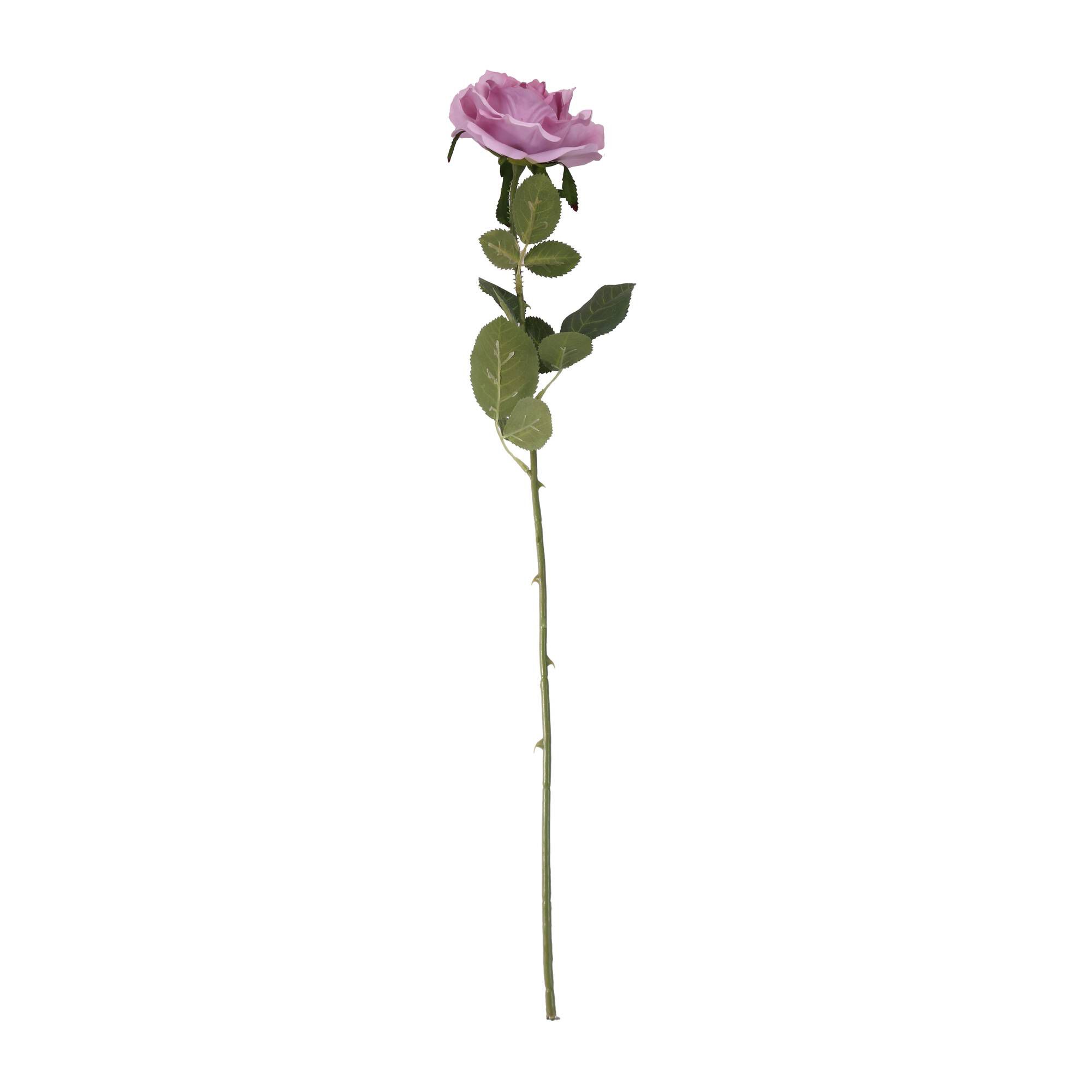 Lavender Arundel Open Rose 76cm x 12cm | Hobbycraft