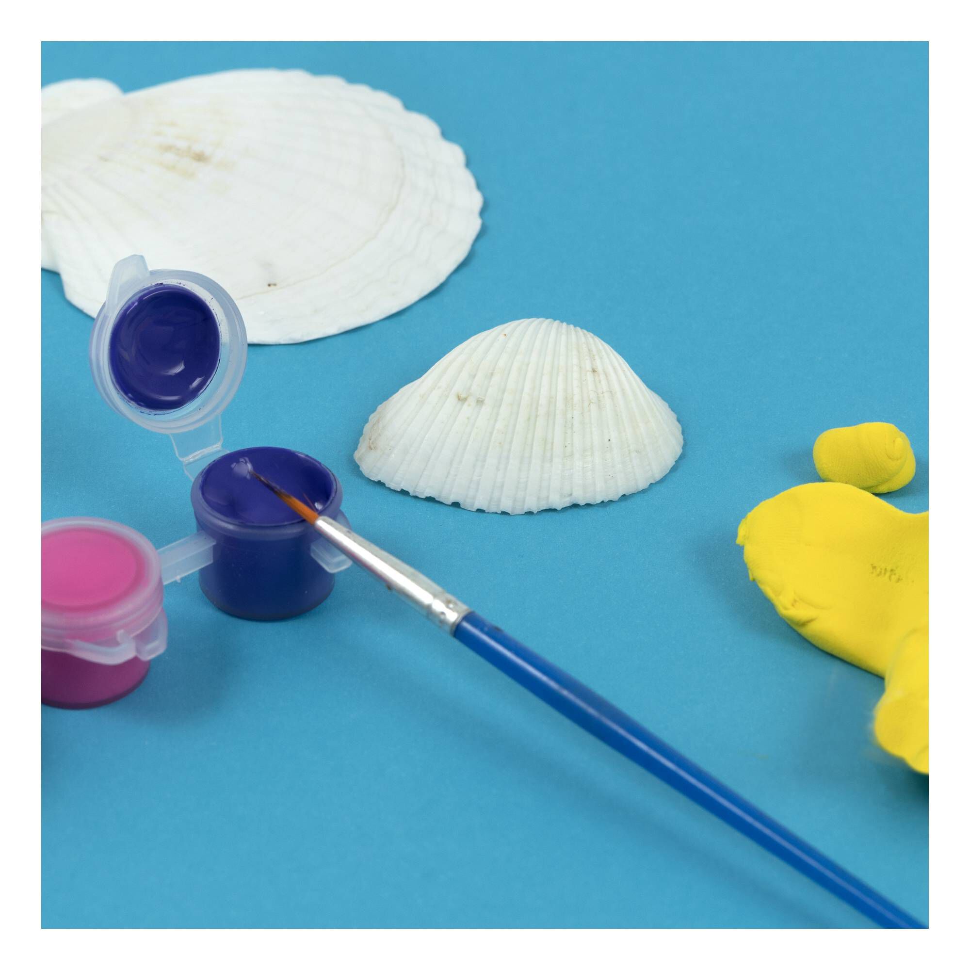 Seashell Painting Kit 13 Pack | Hobbycraft