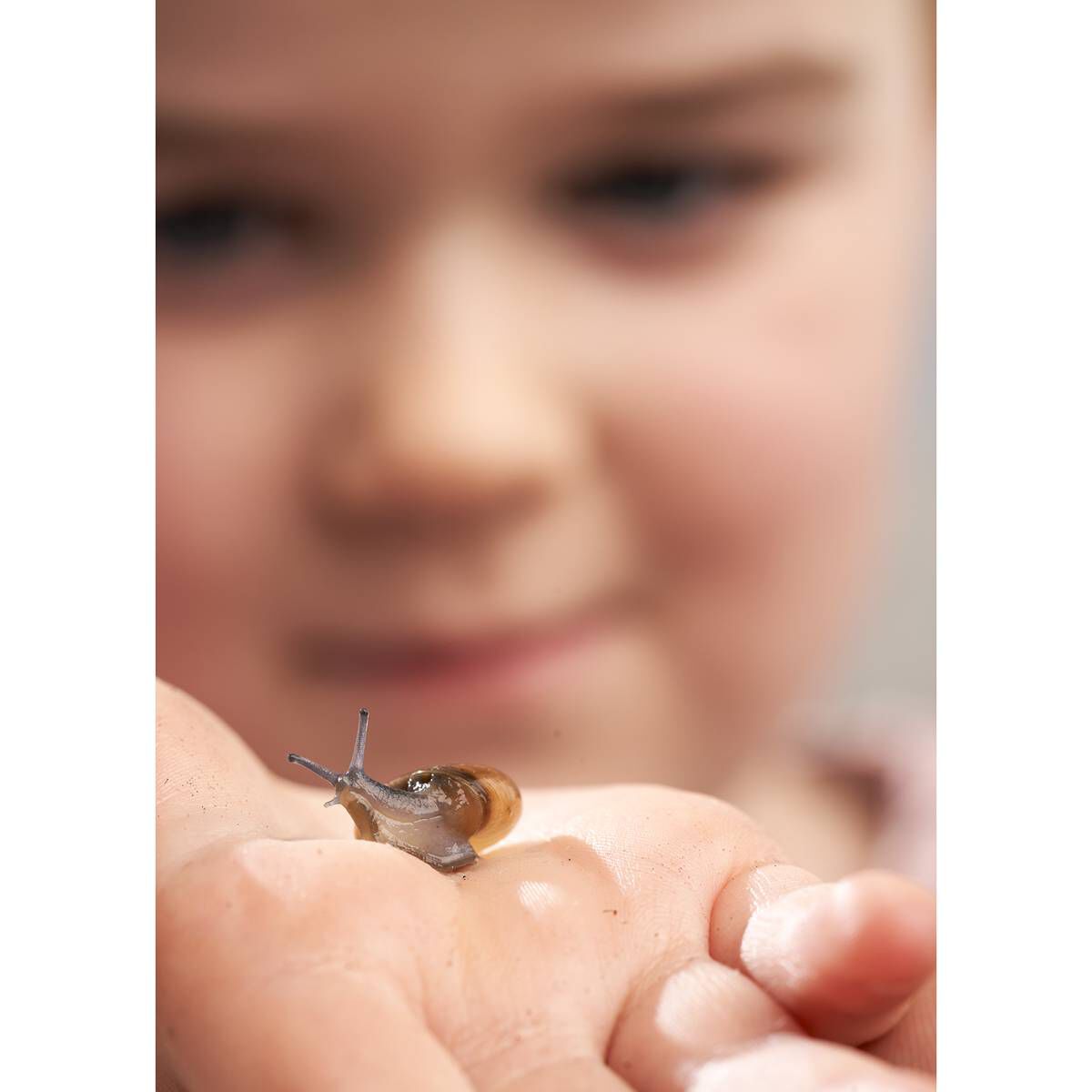 My Living World Snail Kit | Hobbycraft