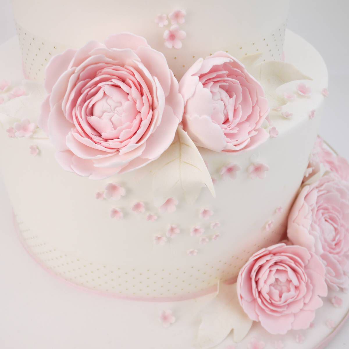FMM Easiest Peony Ever Cutter Set | Hobbycraft
