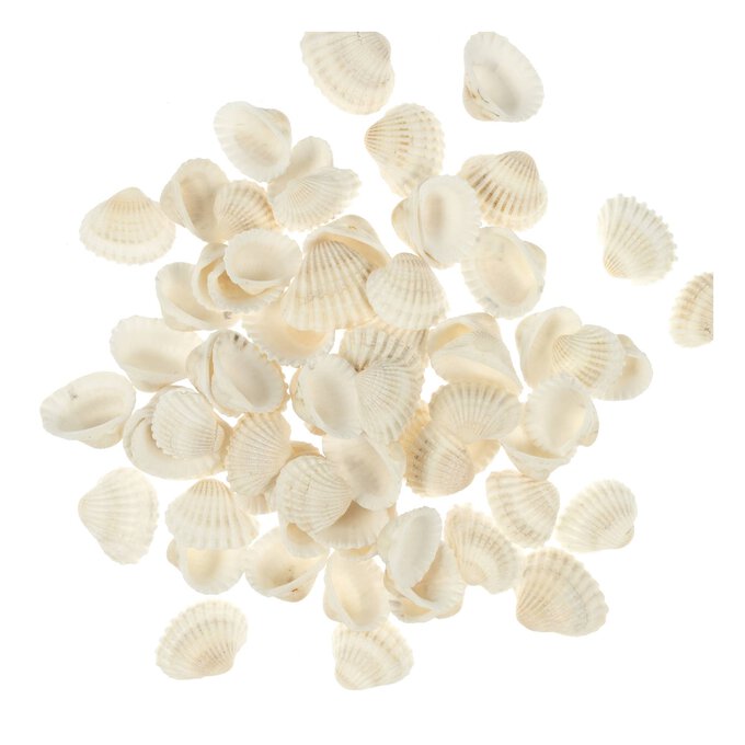Mixed Bag of Cup Shells 250g | Hobbycraft