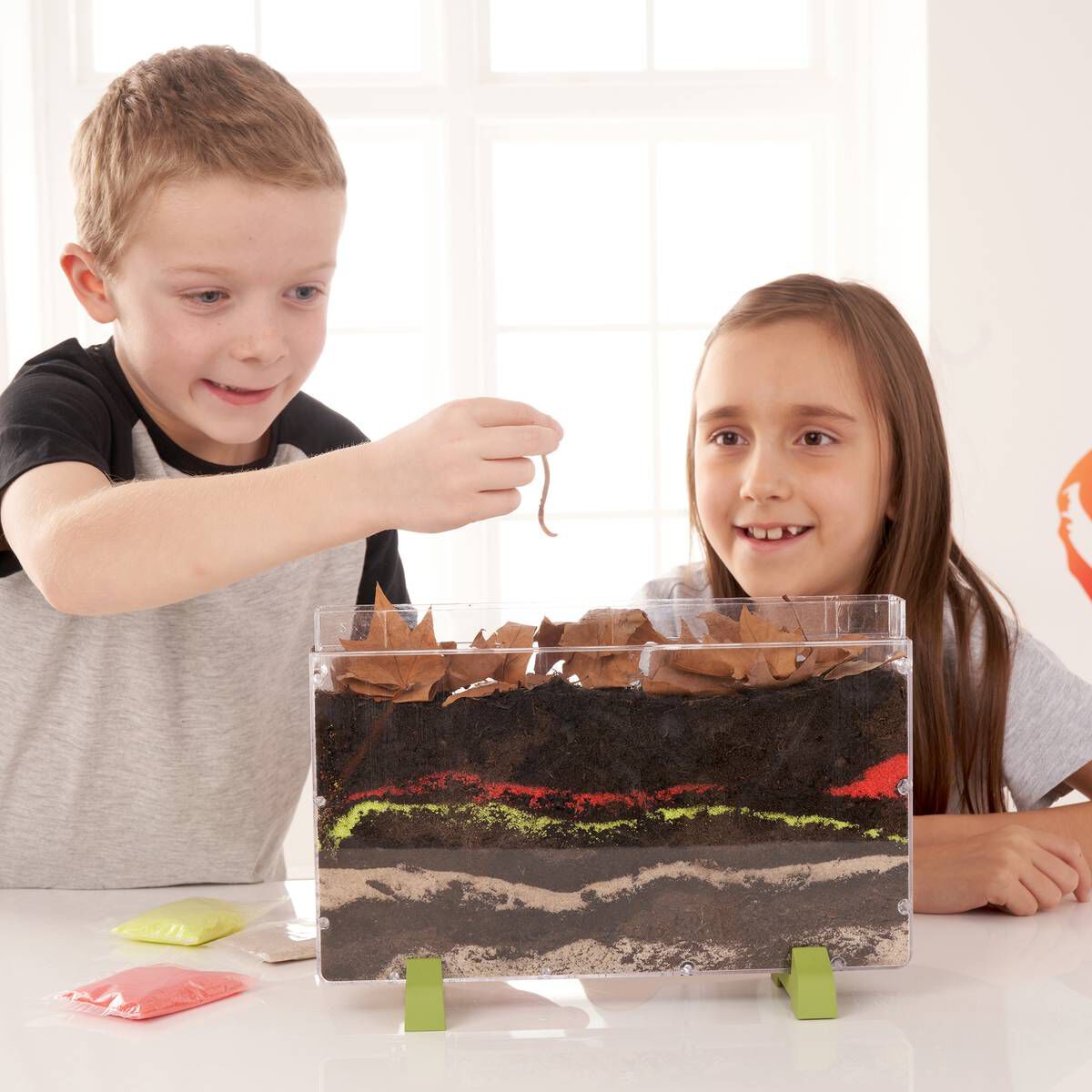 My Living World Worm World Kit | Hobbycraft