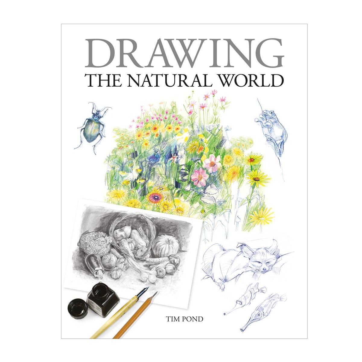 Drawing the Natural World | Hobbycraft