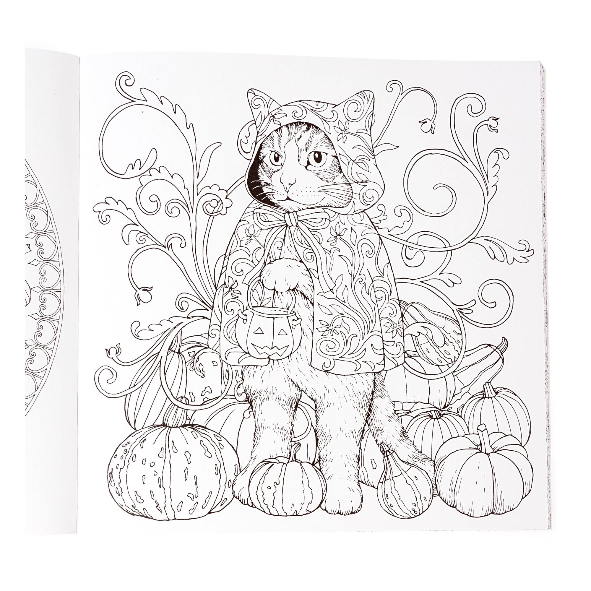 Garden Of Fairytale Animals | Hobbycraft