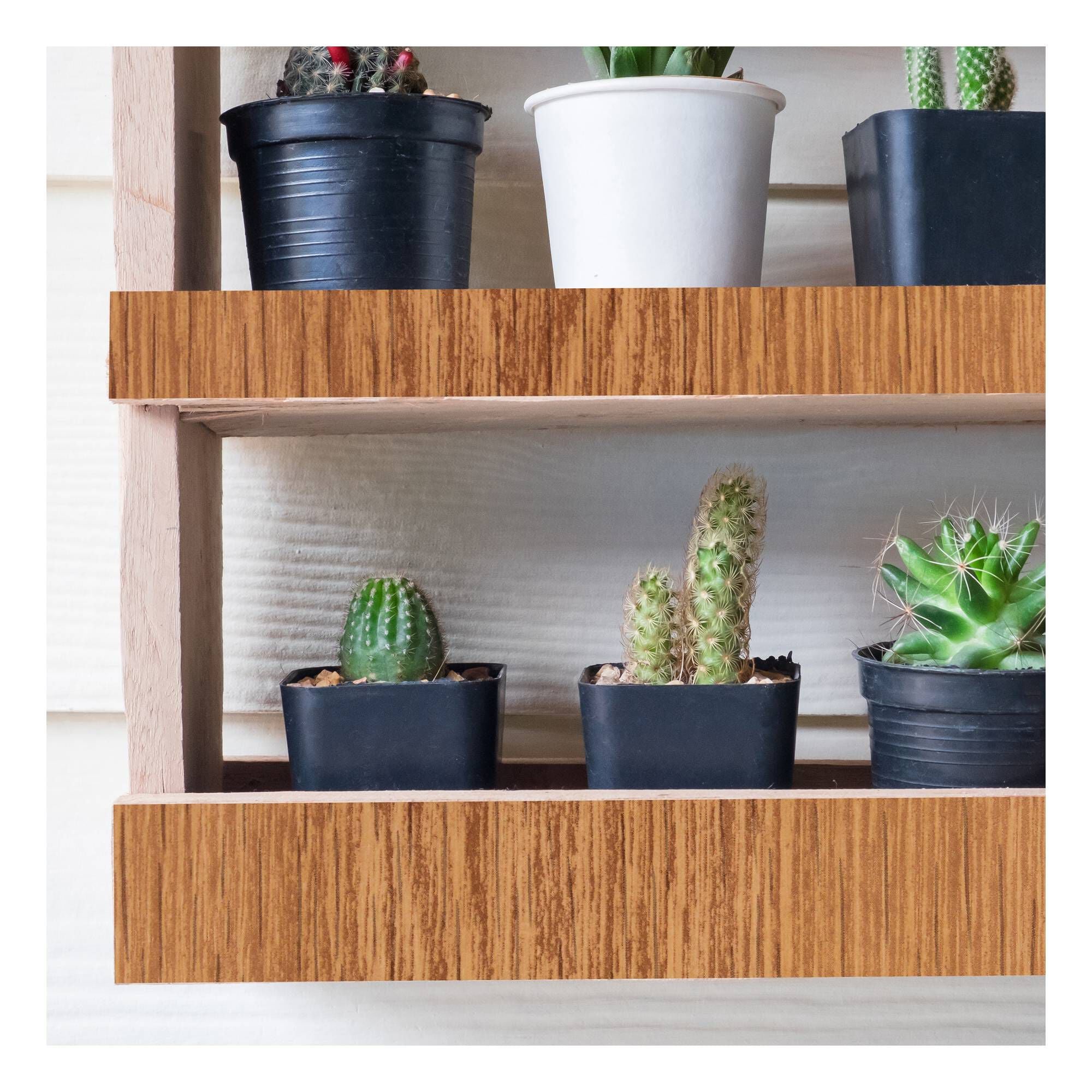 Fablon Pale Oak Classic Sticky Back Plastic 67.5cm x 2m | Hobbycraft