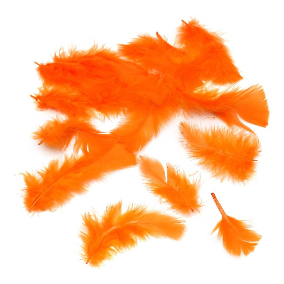 Orange Craft Feathers 5g | Hobbycraft