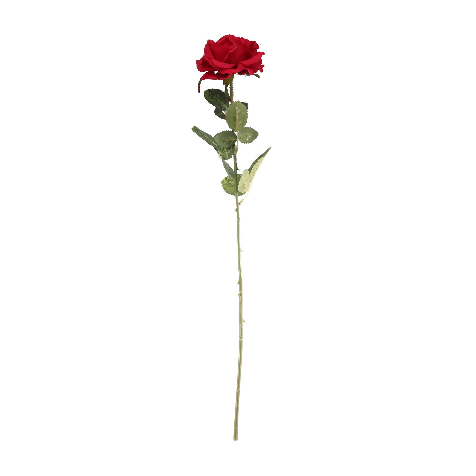 Red Arundel Open Rose 76cm x 12cm | Hobbycraft