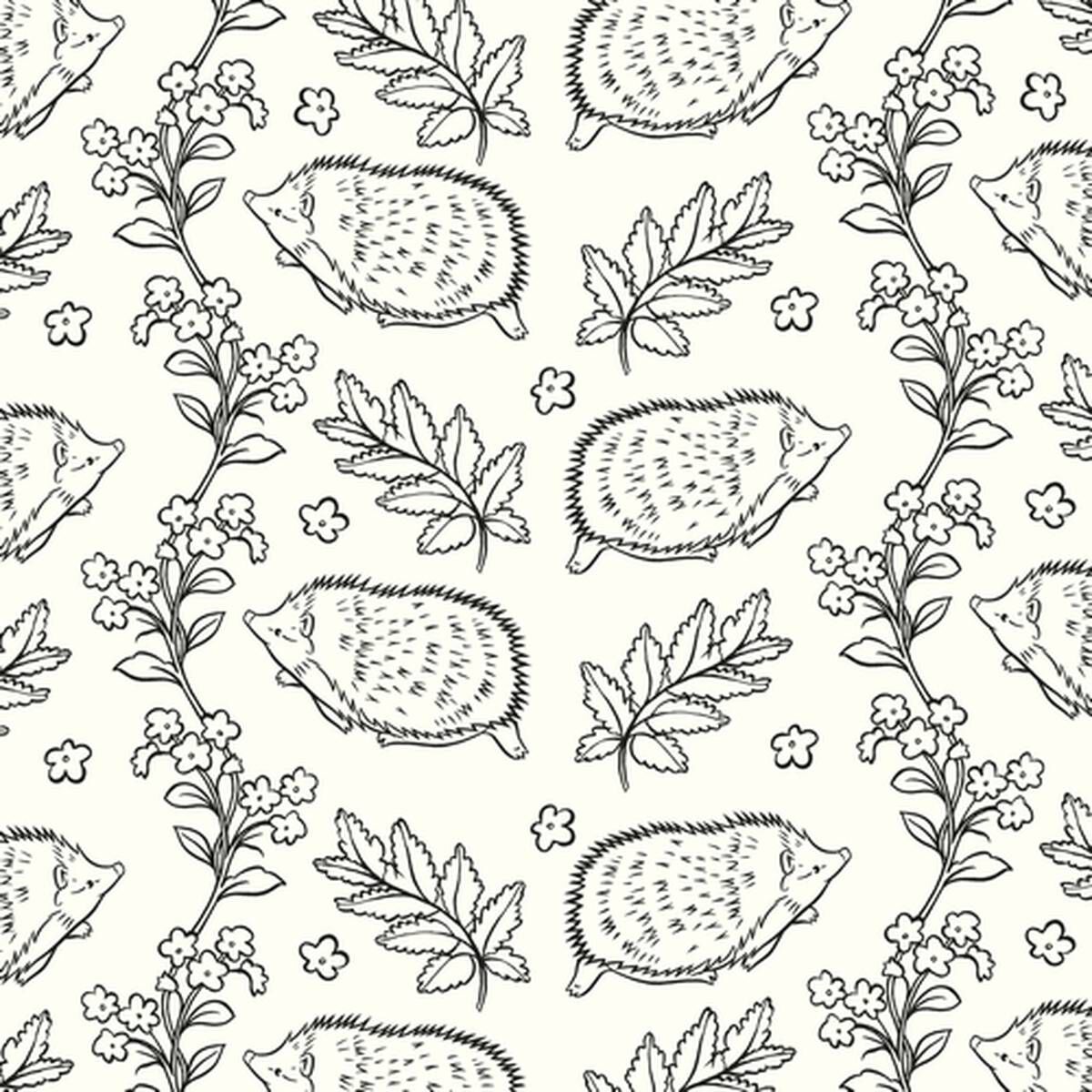 Beatrix Potter Colouring Book | Hobbycraft