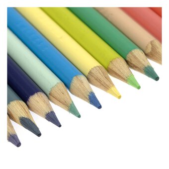 Crayola Pastel Coloured Pencils 12 Pack | Hobbycraft