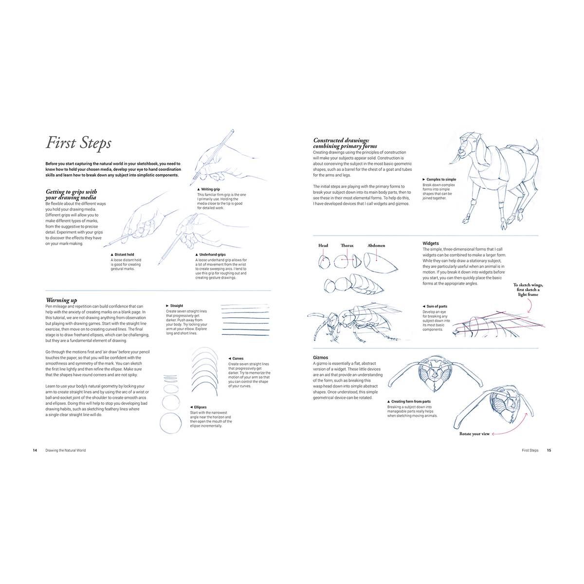 Drawing the Natural World | Hobbycraft