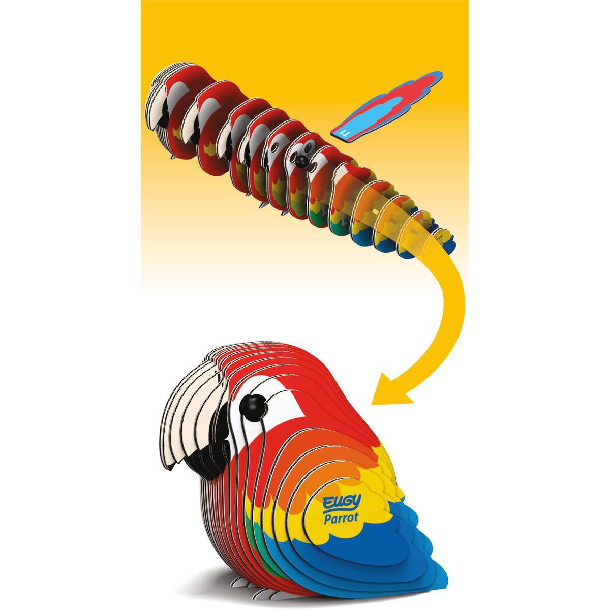 Eugy 3D Parrot Model | Hobbycraft