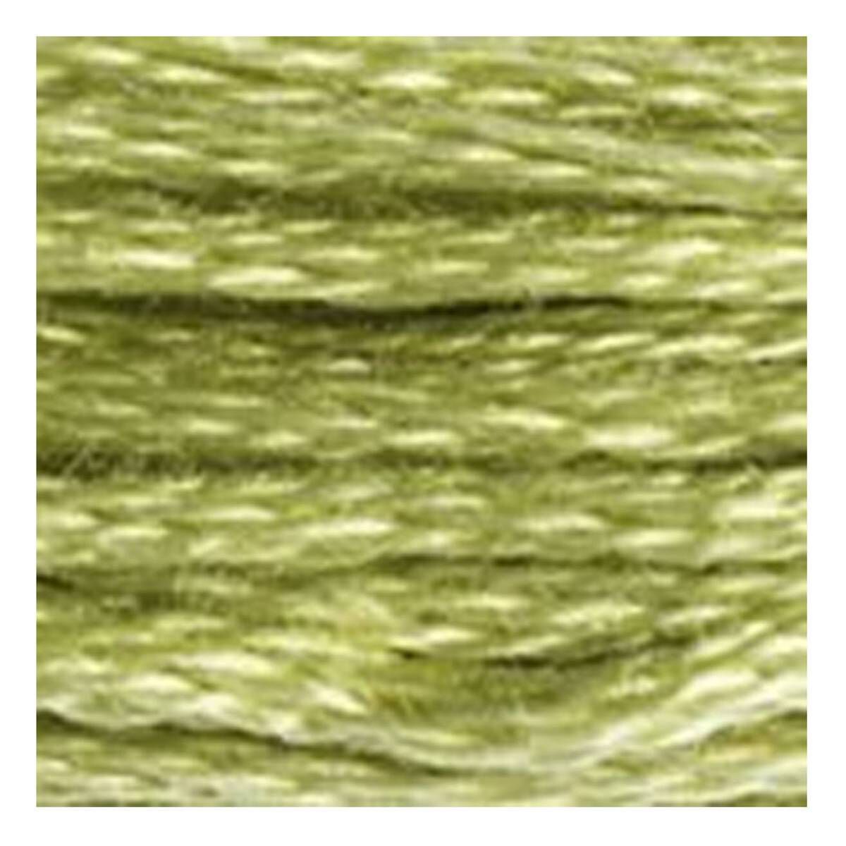 DMC Green Mouline Special 25 Cotton Thread 8m (3348) | Hobbycraft