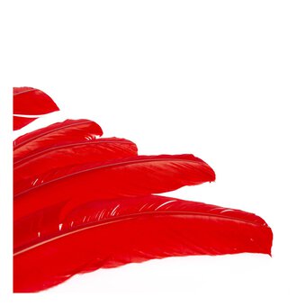 Red Feathers 7 Pack | Hobbycraft