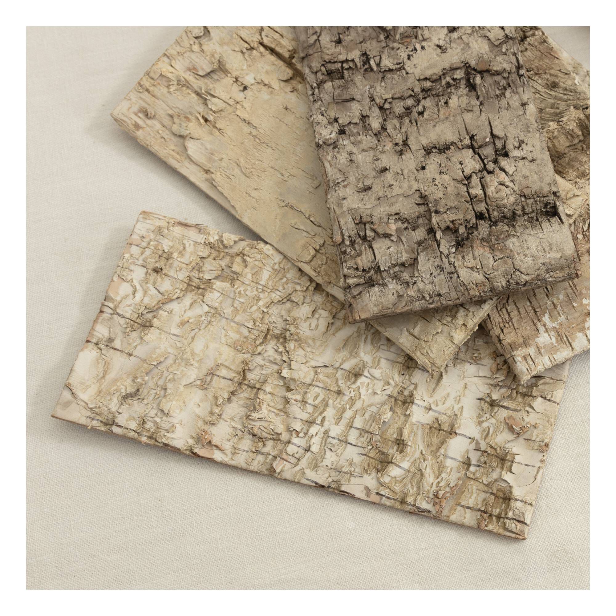 Birch Bark Bundle 10 Pack | Hobbycraft