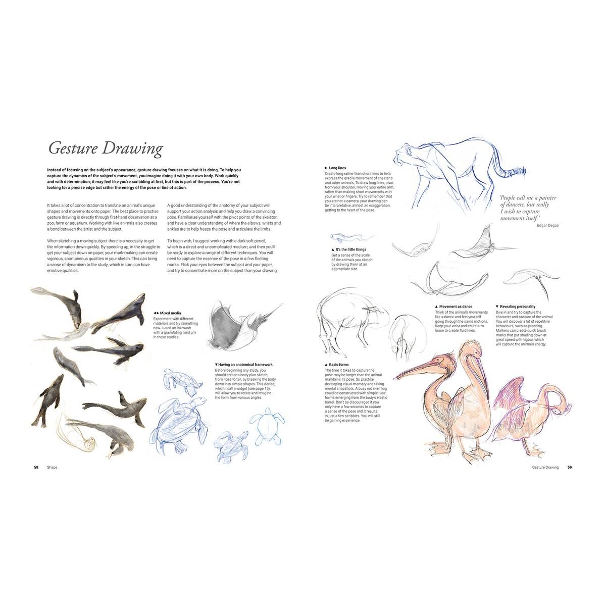 Drawing the Natural World | Hobbycraft