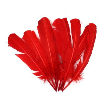 Craft Feathers | Hobbycraft