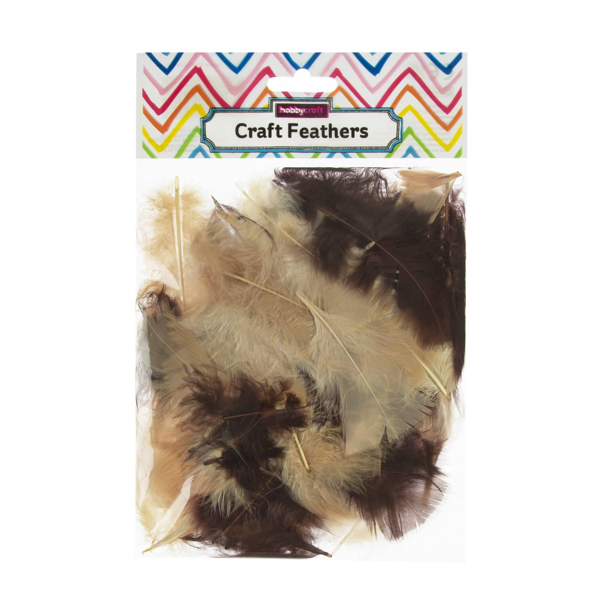 Natural Craft Feathers 5g | Hobbycraft
