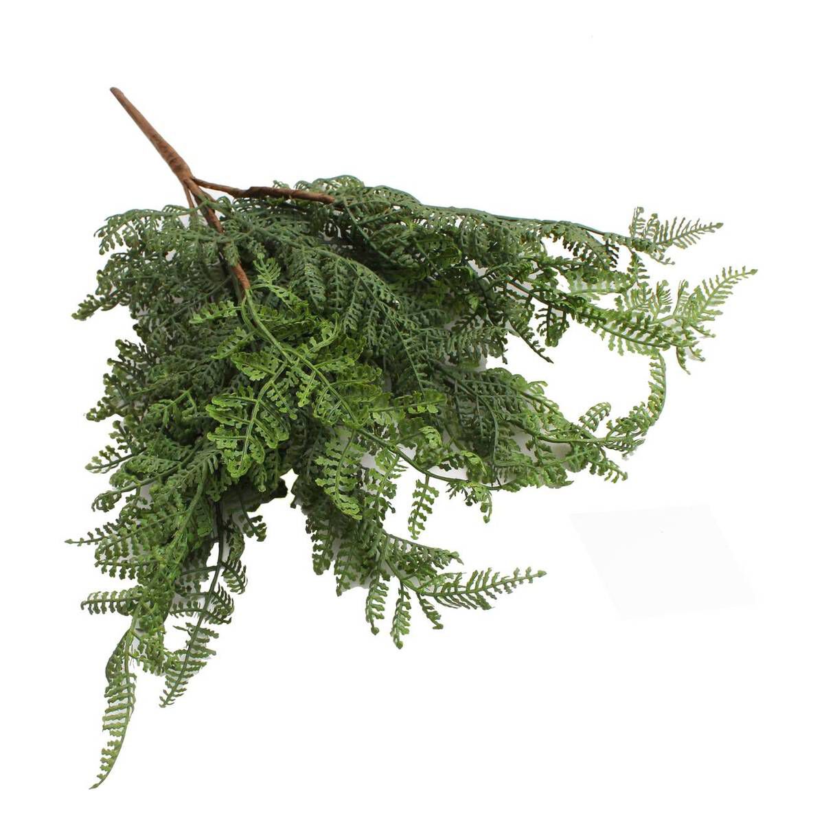 Parsley Fern 48cm | Hobbycraft