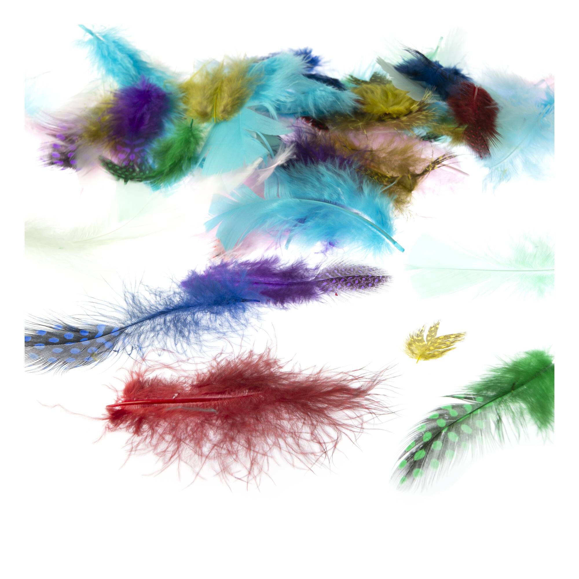 Exotic Feathers 5g | Hobbycraft