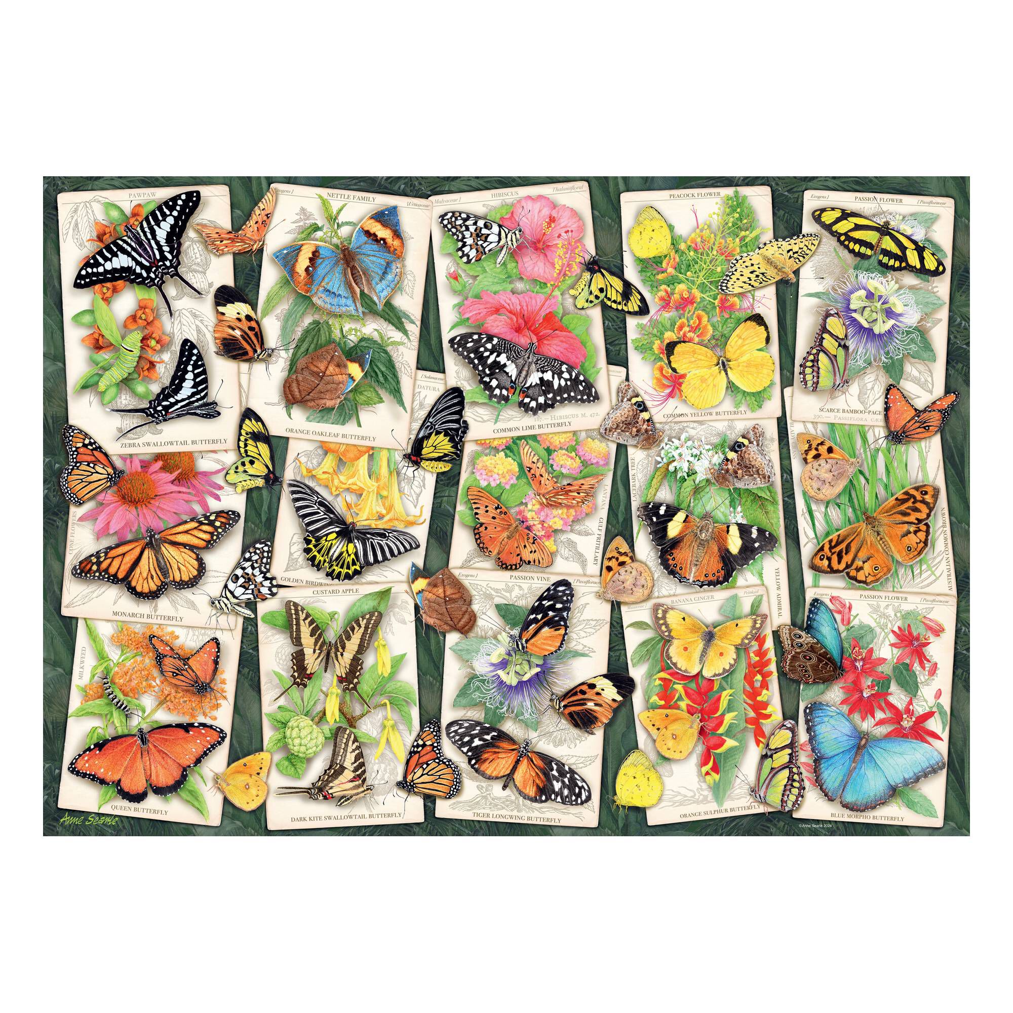 Ravensburger Tropical Butterflies Jigsaw Puzzle 1000 Pieces | Hobbycraft
