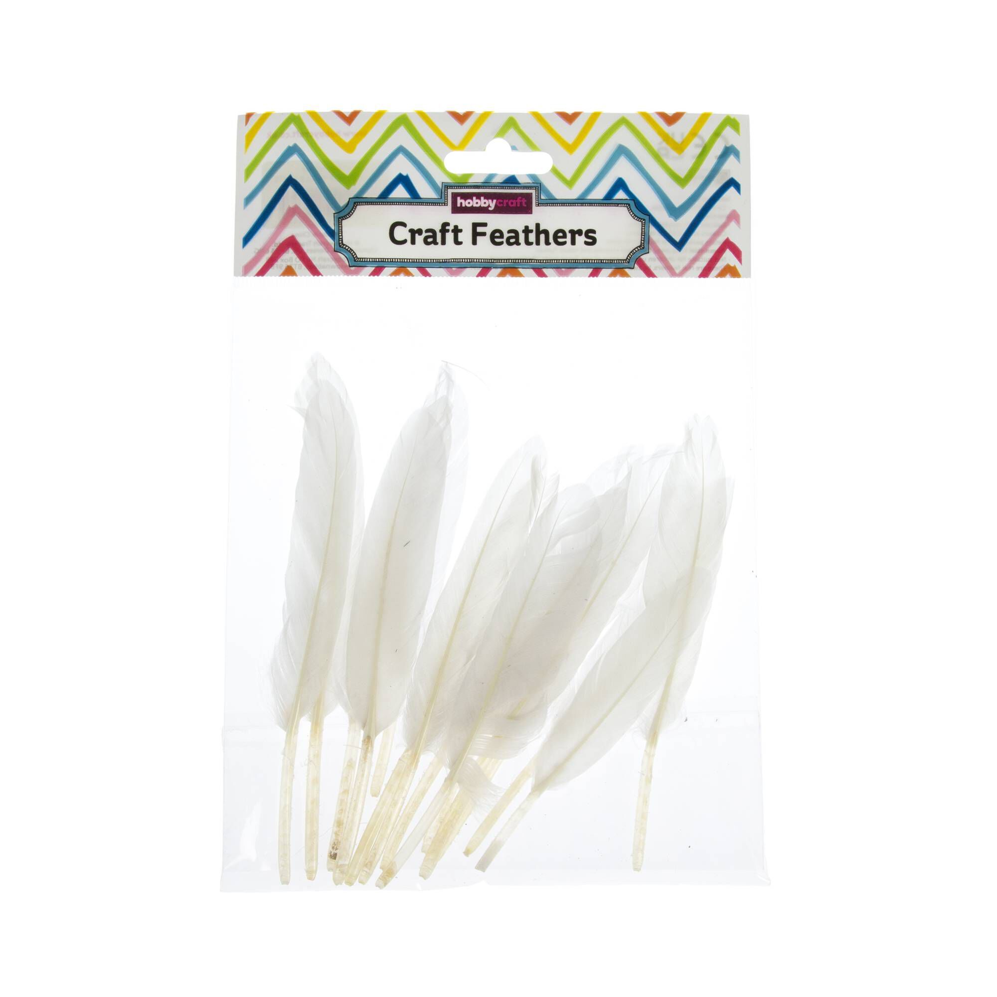 White Quill Feathers 15 Pack | Hobbycraft